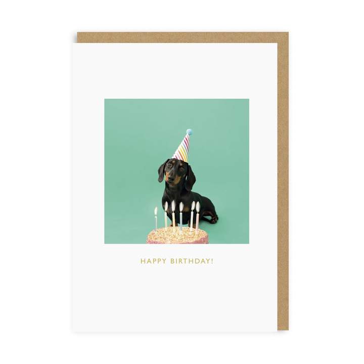 Scout Happy Birthday Greeting Card | &Quirky